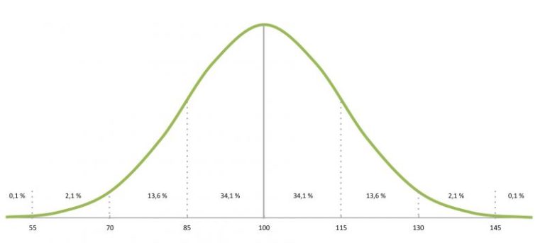 Der Intelligenzquotient - Begabungsblick
