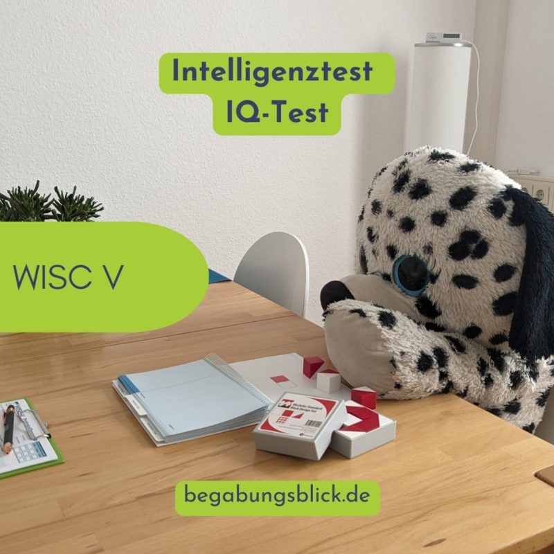Intelligenztest WISC V - Begabungsblick