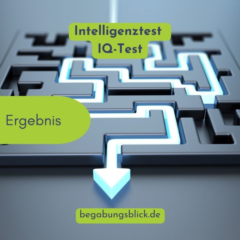 Intelligenztest WISC V - Begabungsblick