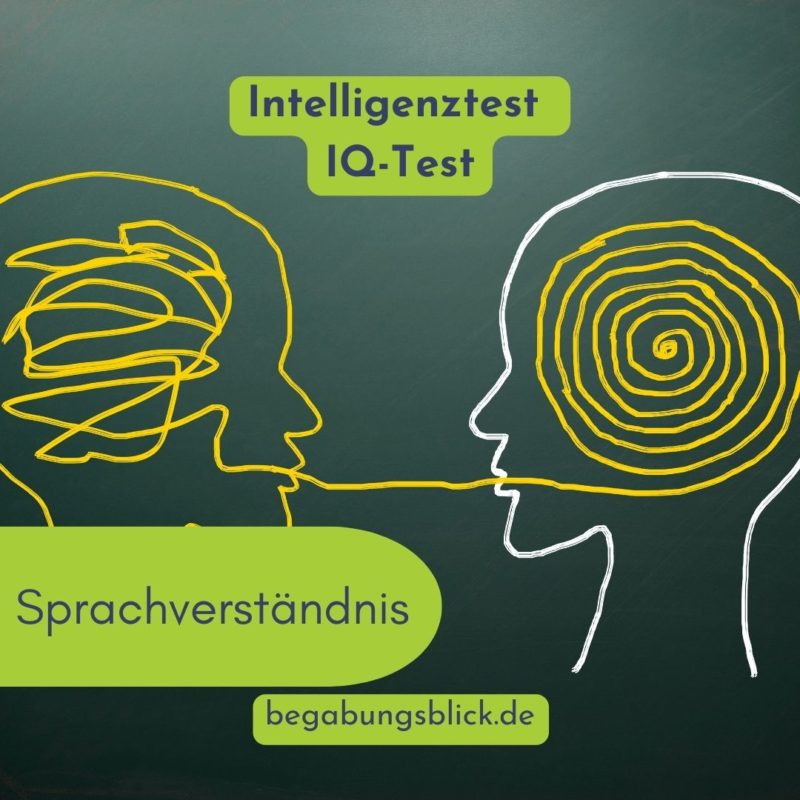 Intelligenztest WISC V - Begabungsblick