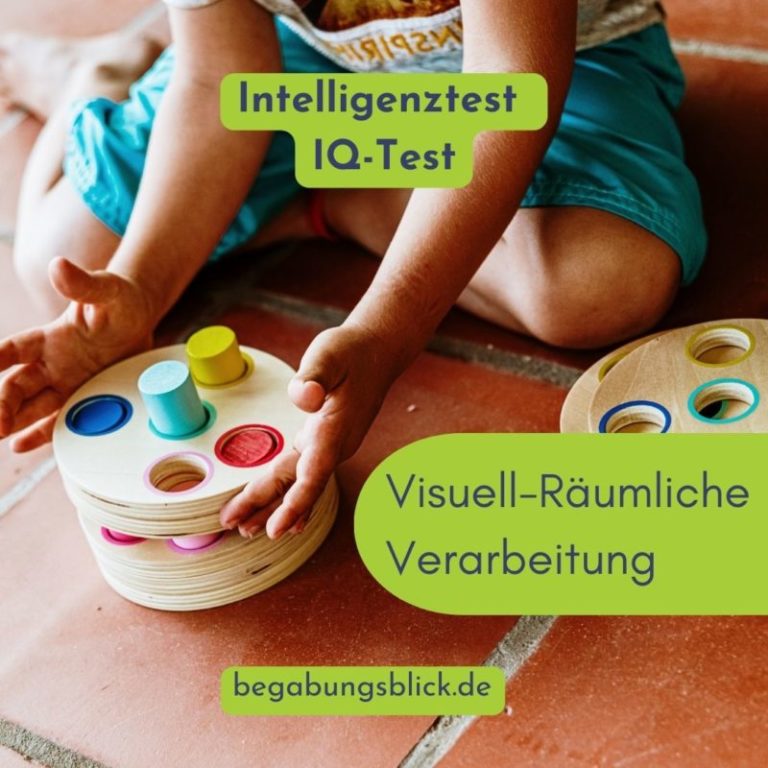 Intelligenztest WISC V - Begabungsblick