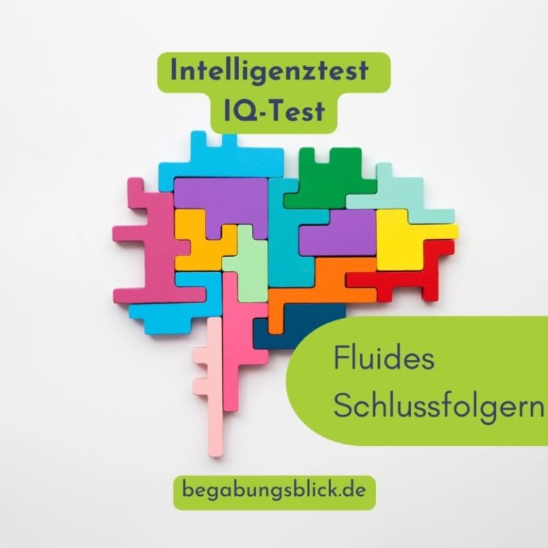 Intelligenztest WISC V - Begabungsblick