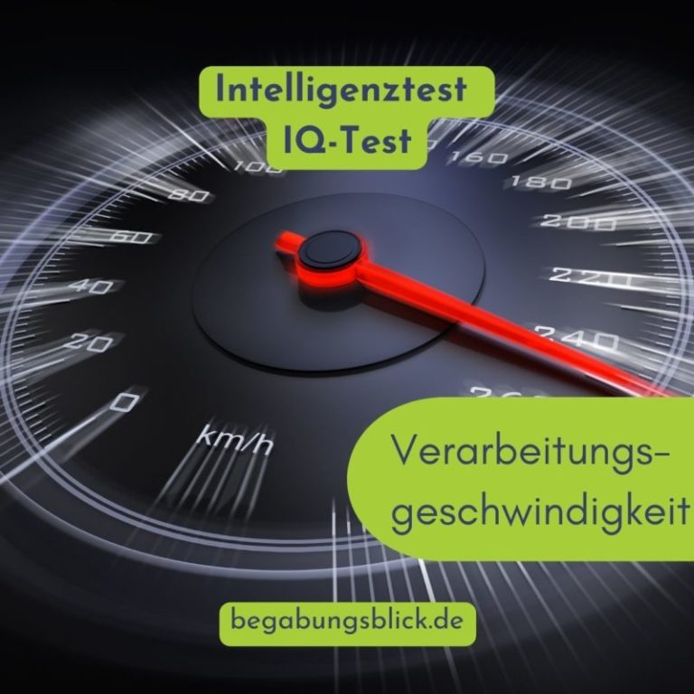 Intelligenztest WISC V - Begabungsblick